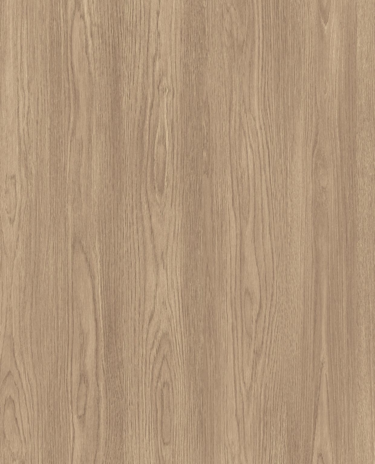 Terra Nova - Plaza Board Centre